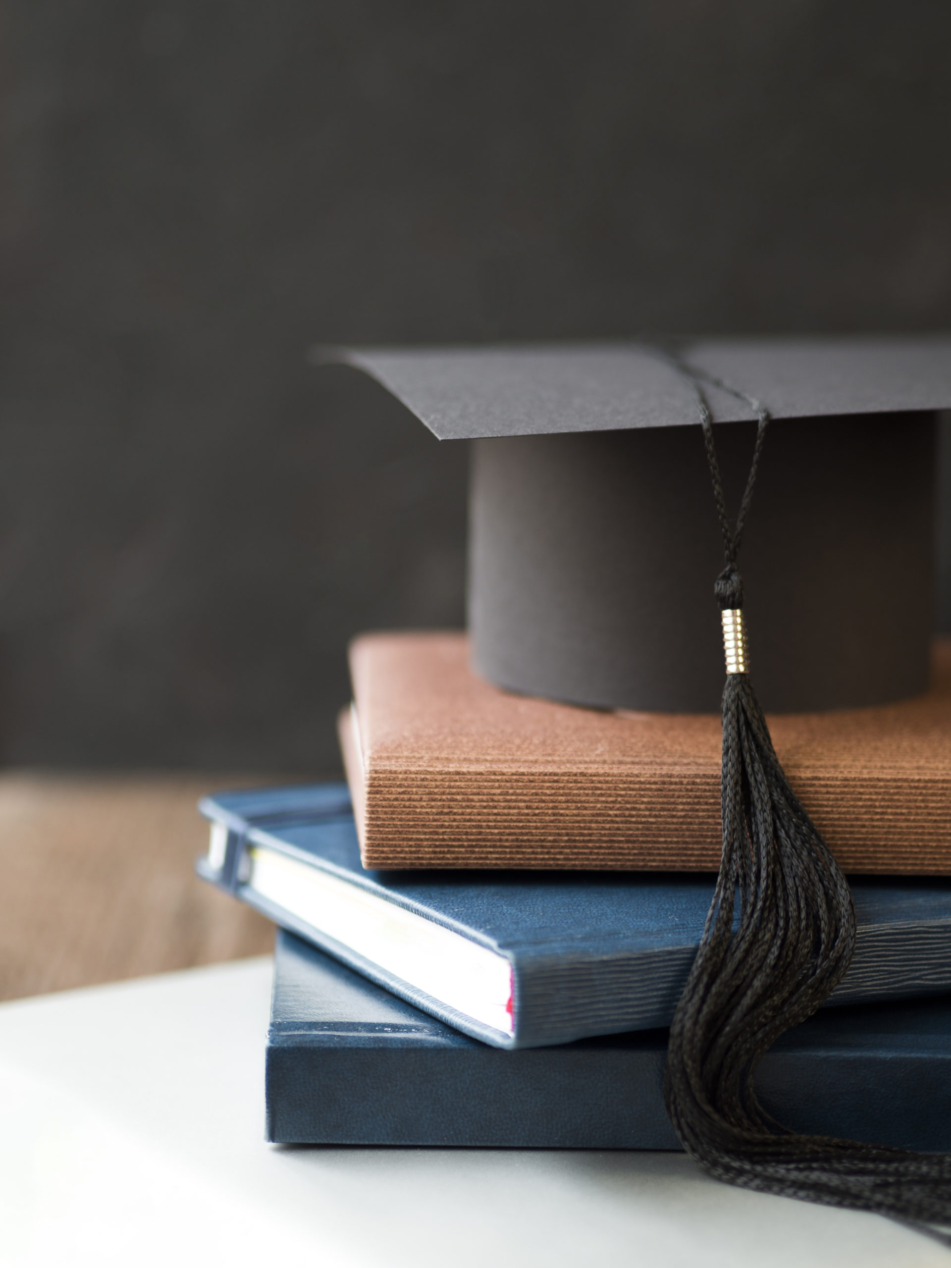 LIT 2019 graduates ready for bigger things! - GIFS